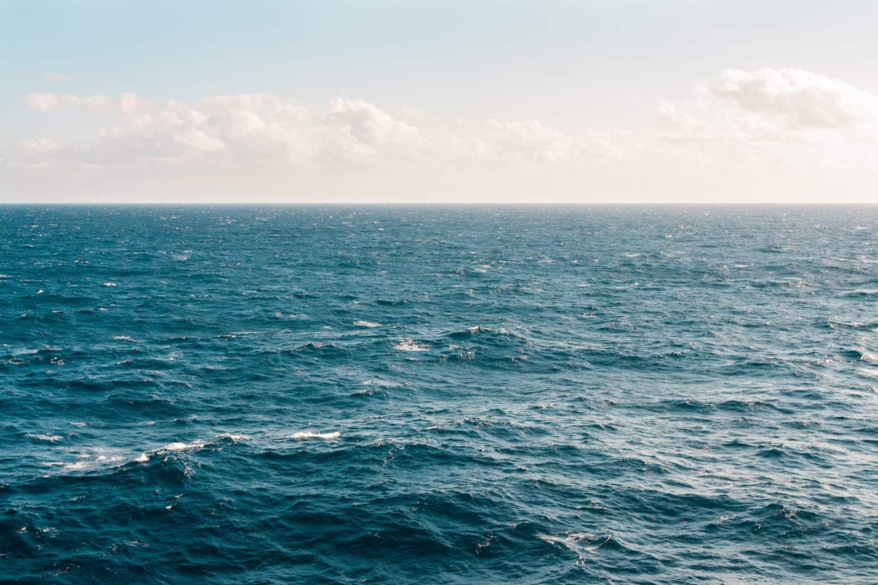 50+ Ocean Names for Scuba Babies | Ocean Trust