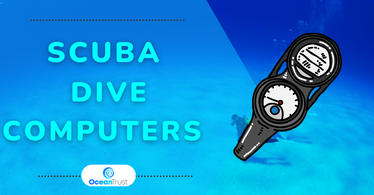 Best Dive Computers of 2024 | Expertly Picked | Ocean Trust